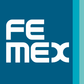 FERIA DE SAN MARTIN DE REY AURELIO “FEMEX”